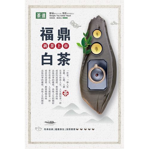 福鼎老白茶怎么保存_福鼎老白茶功效与作用-第1张图片-山城妙识 福鼎老白茶怎么保存_福鼎老白茶功效与作用-第1张图片-山城妙识