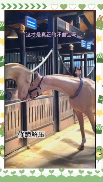 马蹄铁是什么时候发明的_马蹄铁发明时间-第2张图片-山城妙识