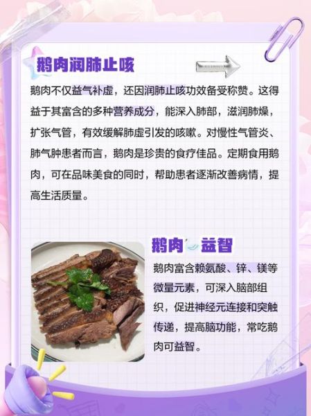 鹅肉的营养价值_鹅肉的功效与作用-第1张图片-山城妙识