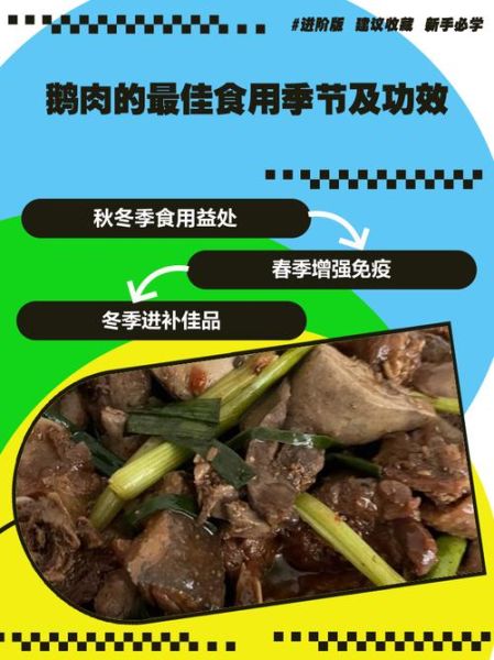 鹅肉的营养价值_鹅肉的功效与作用-第2张图片-山城妙识