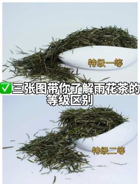 雨花茶属于哪种茶_雨花茶是绿茶吗-第2张图片-山城妙识