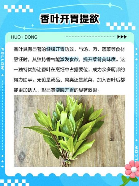 香叶的功效与作用及食用方法_香叶怎么吃不苦-第2张图片-山城妙识