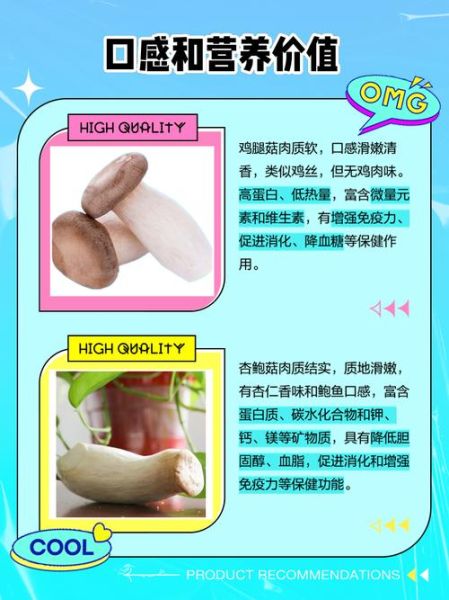 杏鲍菇和鸡腿菇的区别_如何挑选与烹饪-第1张图片-山城妙识