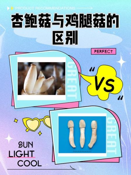 杏鲍菇和鸡腿菇的区别_如何挑选与烹饪-第2张图片-山城妙识