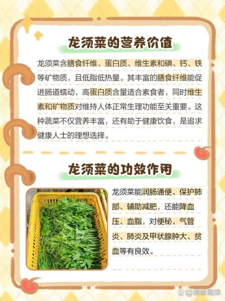 龙须菜有几种图片_龙须菜和石花菜区别-第3张图片-山城妙识 龙须菜有几种图片_龙须菜和石花菜区别-第3张图片-山城妙识