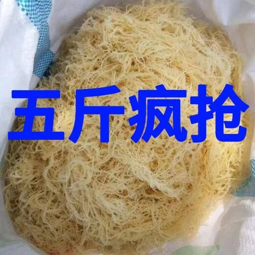 龙须菜有几种图片_龙须菜和石花菜区别-第2张图片-山城妙识 龙须菜有几种图片_龙须菜和石花菜区别-第2张图片-山城妙识