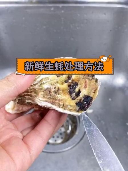 生蚝打开后要洗里面吗_生蚝清洗正确步骤-第2张图片-山城妙识 生蚝打开后要洗里面吗_生蚝清洗正确步骤-第2张图片-山城妙识