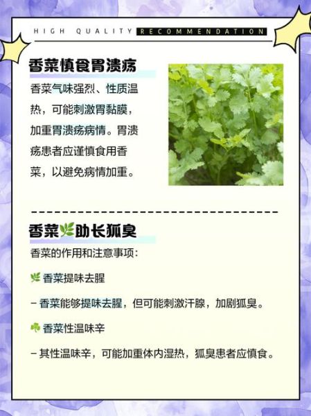 香菜饺子的危害_吃香菜饺子会中毒吗-第1张图片-山城妙识