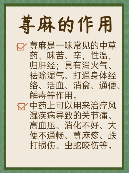 荨麻的功效与作用_荨麻怎么吃不扎嘴-第1张图片-山城妙识