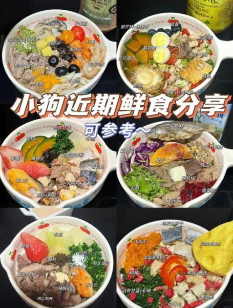 自制狗粮的简单做法_狗狗不吃狗粮怎么办-第2张图片-山城妙识