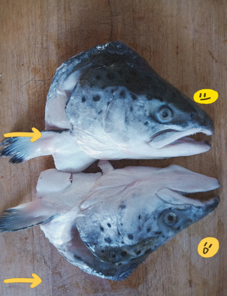 三文鱼头煲汤怎么做_三文鱼头煲汤的营养价值-第1张图片-山城妙识