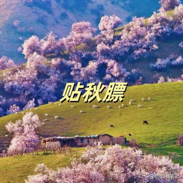 贴秋膘怎么读_贴秋膘是什么意思-第2张图片-山城妙识