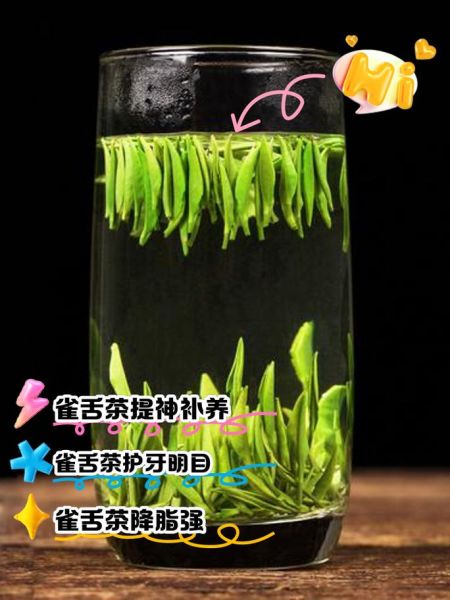 雀舌茶的功效与禁忌_适合什么人喝-第2张图片-山城妙识 雀舌茶的功效与禁忌_适合什么人喝-第2张图片-山城妙识