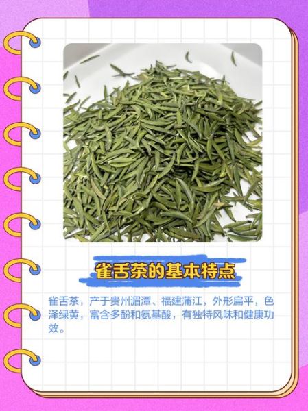 雀舌茶的功效与禁忌_适合什么人喝-第3张图片-山城妙识 雀舌茶的功效与禁忌_适合什么人喝-第3张图片-山城妙识