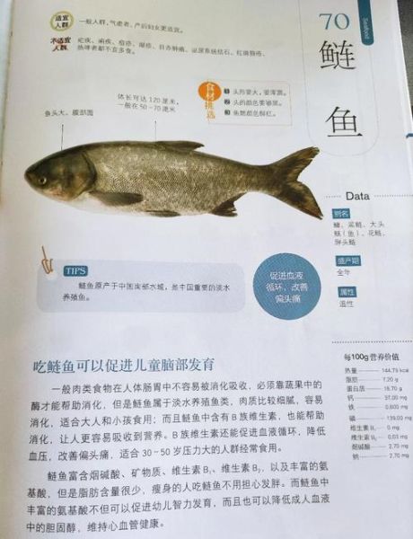 鳙鱼高密度养殖技术_如何提高亩产量-第2张图片-山城妙识