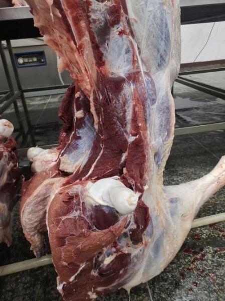 鸵鸟肉多少钱一斤_鸵鸟肉营养价值高吗-第3张图片-山城妙识