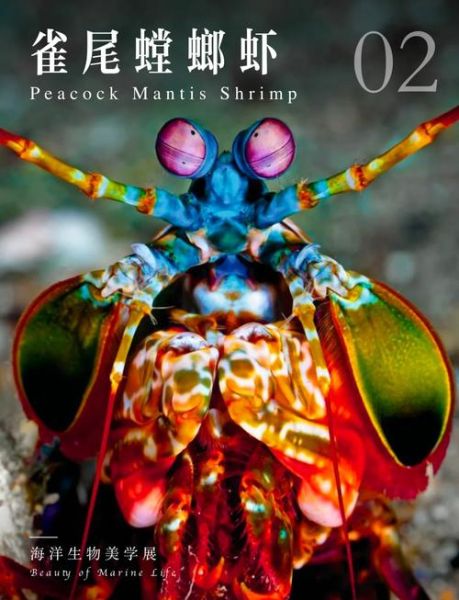 雀尾螳螂虾能吃吗_雀尾螳螂虾口感怎么样-第1张图片-山城妙识 雀尾螳螂虾能吃吗_雀尾螳螂虾口感怎么样-第1张图片-山城妙识