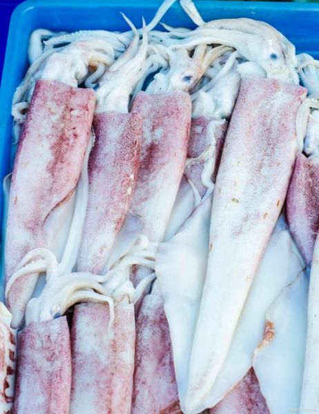 鱿鱼图片高清_如何挑选高清鱿鱼图-第2张图片-山城妙识 鱿鱼图片高清_如何挑选高清鱿鱼图-第2张图片-山城妙识