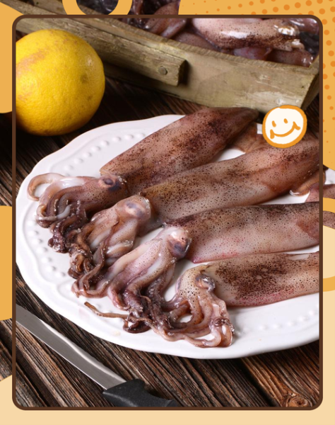 鱿鱼图片高清_如何挑选高清鱿鱼图-第3张图片-山城妙识 鱿鱼图片高清_如何挑选高清鱿鱼图-第3张图片-山城妙识