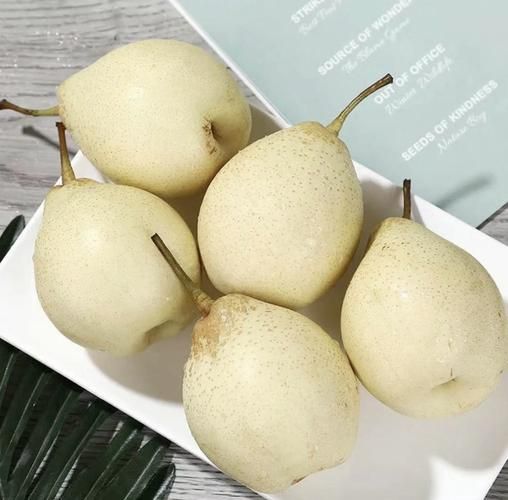 鸭梨的拼音怎么写_鸭梨拼音声调怎么标-第1张图片-山城妙识