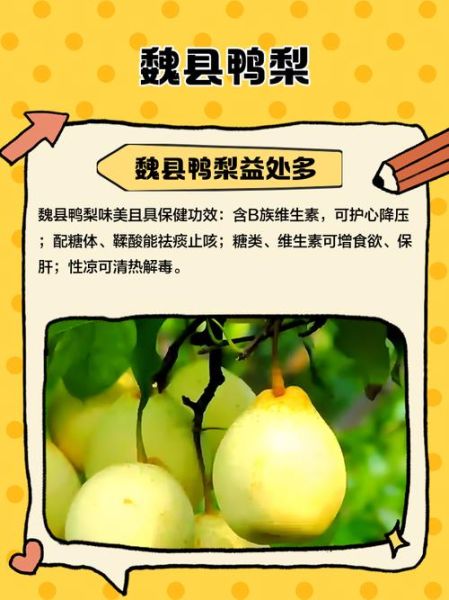 鸭梨的拼音怎么写_鸭梨拼音声调怎么标-第3张图片-山城妙识