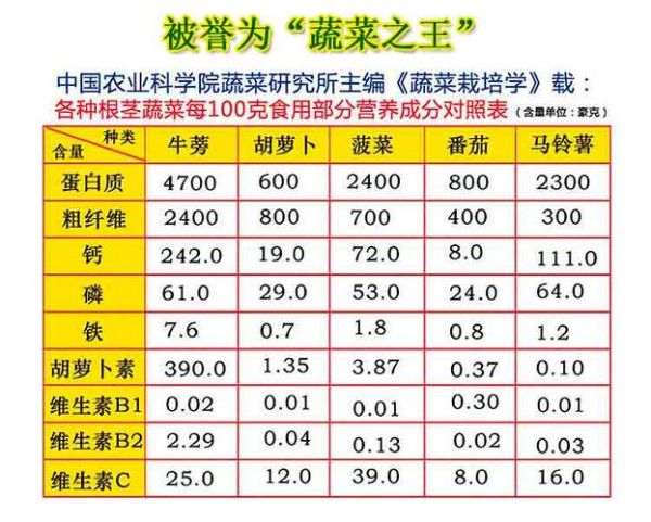黄金牛蒡茶多少钱一斤_黄金牛蒡茶价格表-第2张图片-山城妙识 黄金牛蒡茶多少钱一斤_黄金牛蒡茶价格表-第2张图片-山城妙识