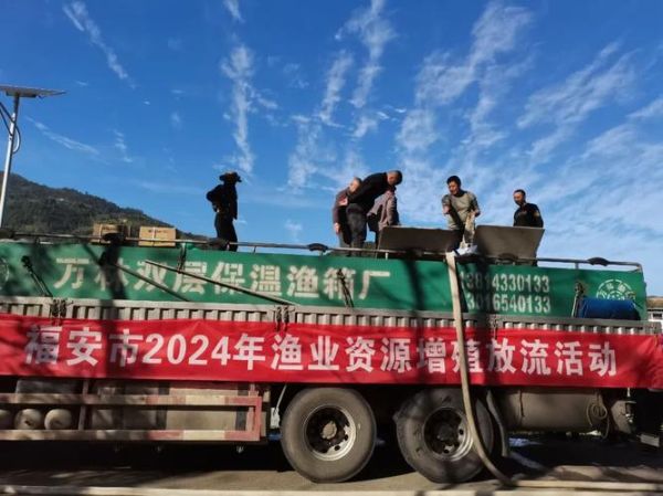 鲢鱼苗价格多少钱一斤_2024年最新行情-第2张图片-山城妙识 鲢鱼苗价格多少钱一斤_2024年最新行情-第2张图片-山城妙识