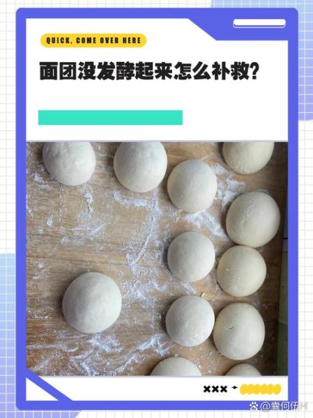 面没发起来怎么补救最快_面团发不起来还能吃吗-第2张图片-山城妙识