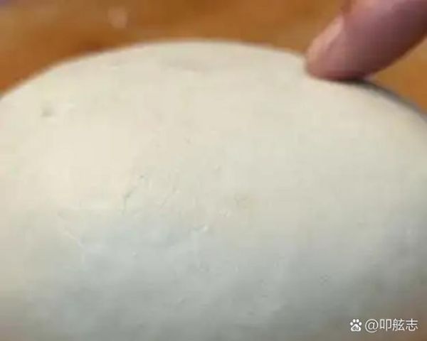 面没发起来怎么补救最快_面团发不起来还能吃吗-第3张图片-山城妙识