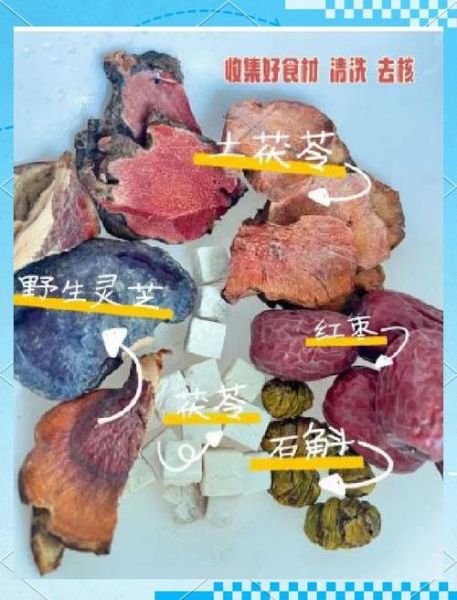 金钱龟的功效与作用_金钱龟怎么吃效果最好-第2张图片-山城妙识