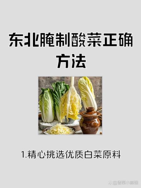 东北酸菜怎么腌好吃_东北酸菜腌制方法窍门-第1张图片-山城妙识