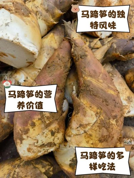 马蹄笋怎么去苦味_马蹄笋焯水多久不苦-第1张图片-山城妙识 马蹄笋怎么去苦味_马蹄笋焯水多久不苦-第1张图片-山城妙识