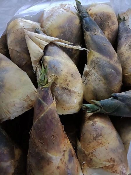 马蹄笋怎么去苦味_马蹄笋焯水多久不苦-第3张图片-山城妙识 马蹄笋怎么去苦味_马蹄笋焯水多久不苦-第3张图片-山城妙识