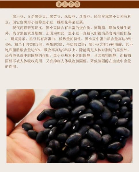 黑芸豆和黑豆的区别_哪个更营养-第1张图片-山城妙识