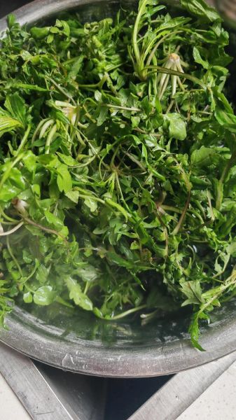 荠菜和什么一起包饺子最好吃_荠菜不能和什么一起吃-第3张图片-山城妙识