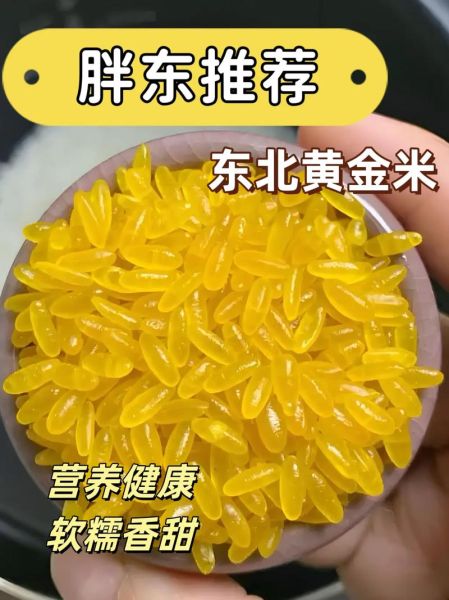 黄金大米的好处和危害_转基因食品安全吗-第2张图片-山城妙识