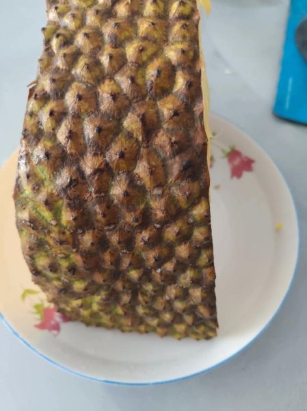 菠萝蜜核怎么吃_菠萝蜜核的禁忌有哪些-第3张图片-山城妙识