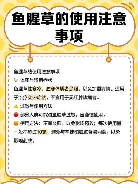 野生鱼腥草图片大全_如何辨别真假野生鱼腥草-第2张图片-山城妙识