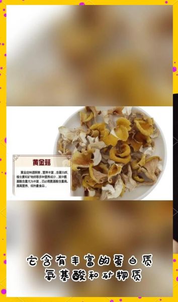 鸡油菌和榆黄菇的区别_哪个更好吃-第1张图片-山城妙识