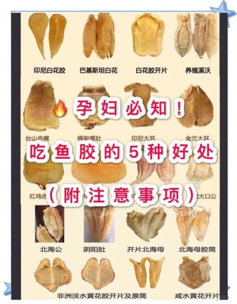 鱼鳔有什么营养价值_鱼鳔怎么吃最补-第2张图片-山城妙识