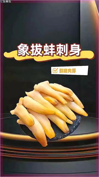 象拔蚌是什么意思啊_网络流行语解析-第3张图片-山城妙识