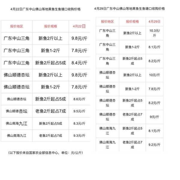 黑鱼价格多少钱一斤_黑鱼批发价和零售价区别-第3张图片-山城妙识 黑鱼价格多少钱一斤_黑鱼批发价和零售价区别-第3张图片-山城妙识