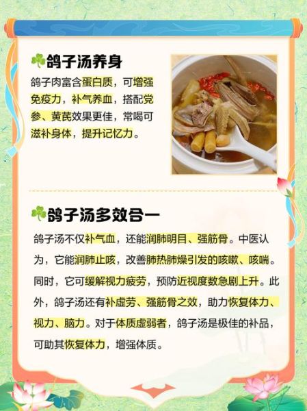 鸽子汤的功效与作用_禁忌人群有哪些-第1张图片-山城妙识 鸽子汤的功效与作用_禁忌人群有哪些-第1张图片-山城妙识