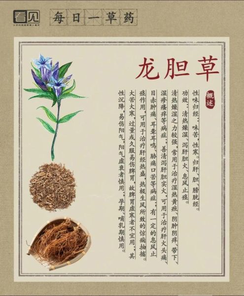 龙胆草的功效与作用_龙胆草的禁忌有哪些-第2张图片-山城妙识 龙胆草的功效与作用_龙胆草的禁忌有哪些-第2张图片-山城妙识