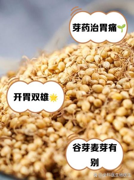 谷芽别名有哪些_谷芽与麦芽区别是什么-第3张图片-山城妙识 谷芽别名有哪些_谷芽与麦芽区别是什么-第3张图片-山城妙识