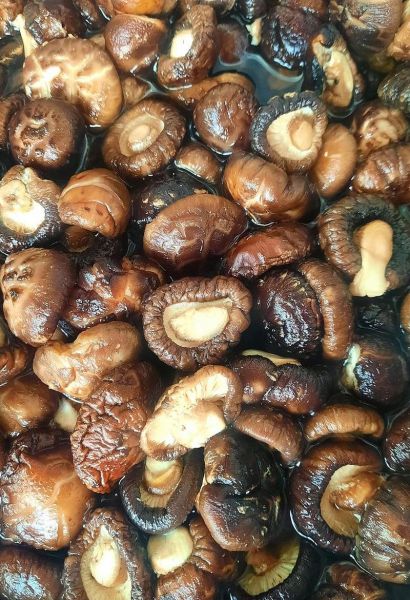 香菇怎么泡发_香菇图片如何辨别好坏-第2张图片-山城妙识