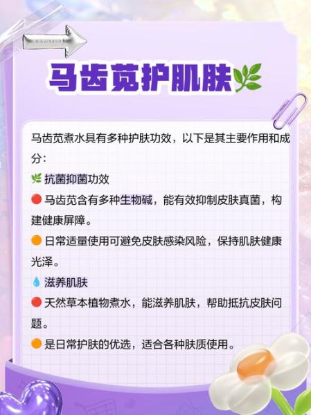 马齿苋去湿疹副作用_马齿苋治湿疹安全吗-第2张图片-山城妙识