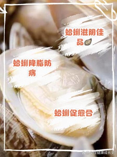 蛤蜊的功效与作用禁忌_什么人不能吃蛤蜊-第2张图片-山城妙识