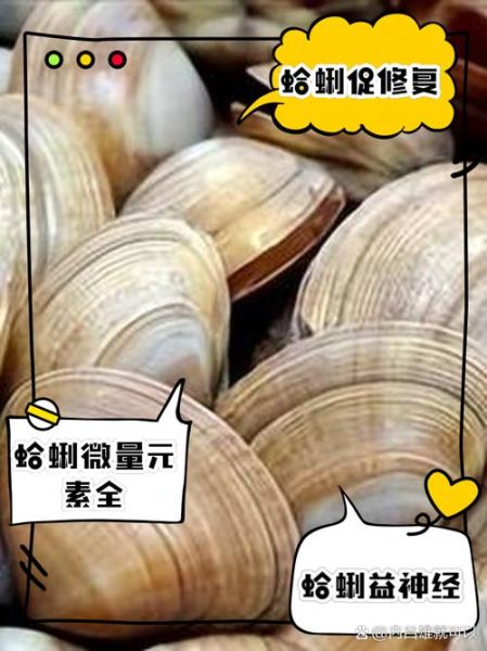 蛤蜊的功效与作用禁忌_什么人不能吃蛤蜊-第3张图片-山城妙识