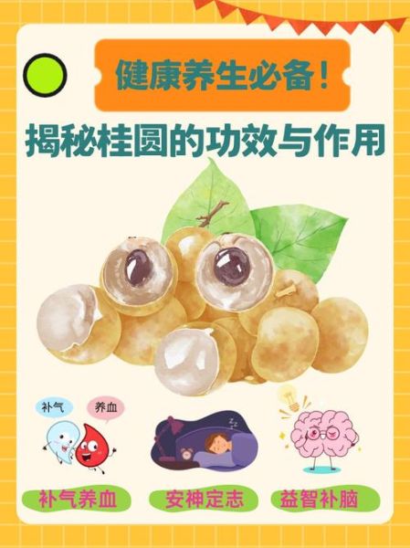 龙眼肉的功效与作用_龙眼肉怎么吃效果最好-第2张图片-山城妙识 龙眼肉的功效与作用_龙眼肉怎么吃效果最好-第2张图片-山城妙识